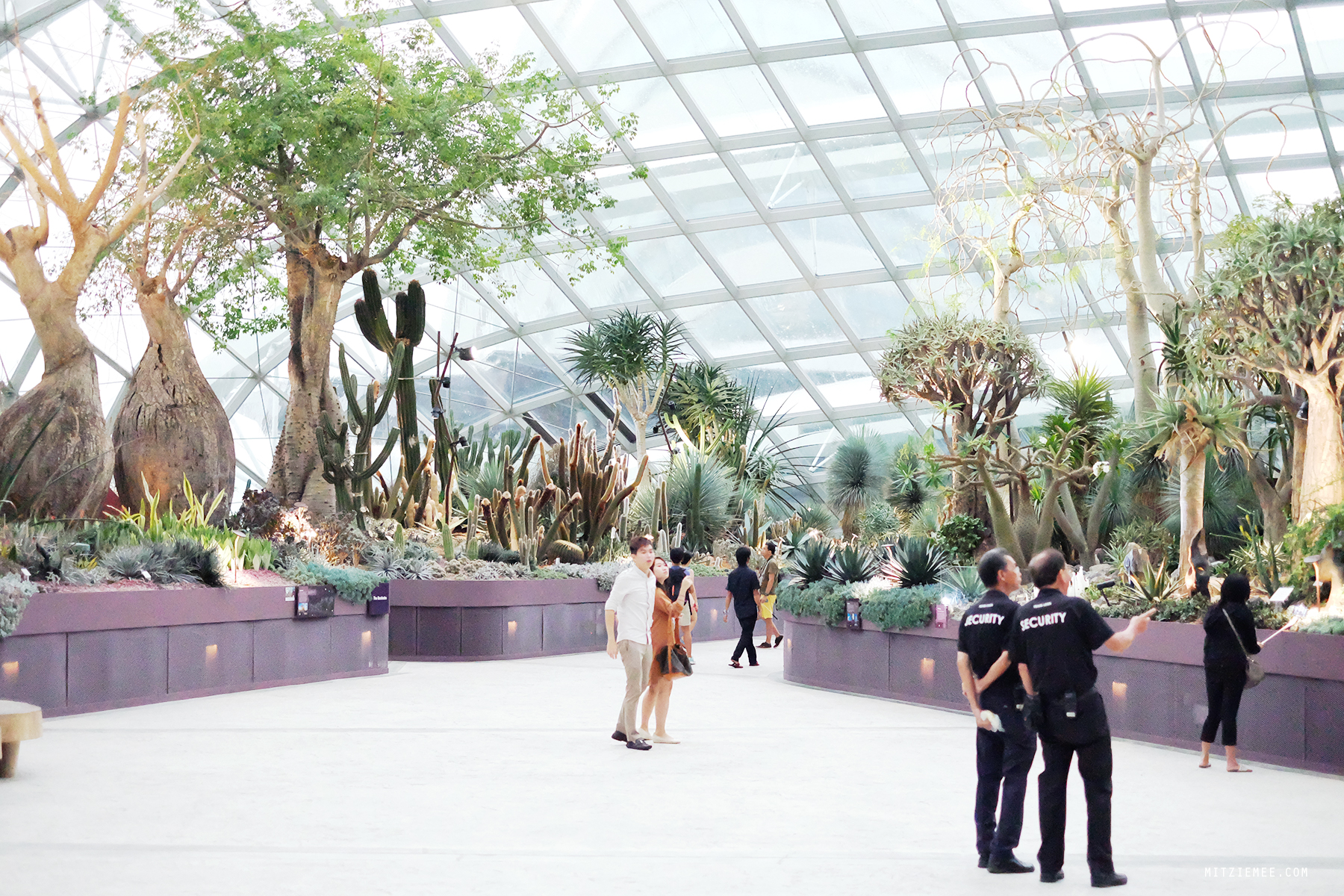 Flower Dome og Gardens by the Bay - Singapore Blog - Mitzie Mee